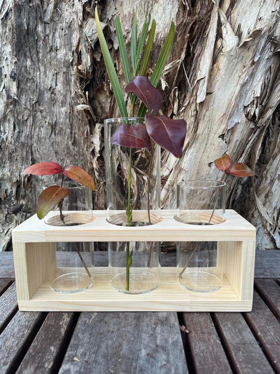 Propagation Sets & Vases — Nursery 2 U