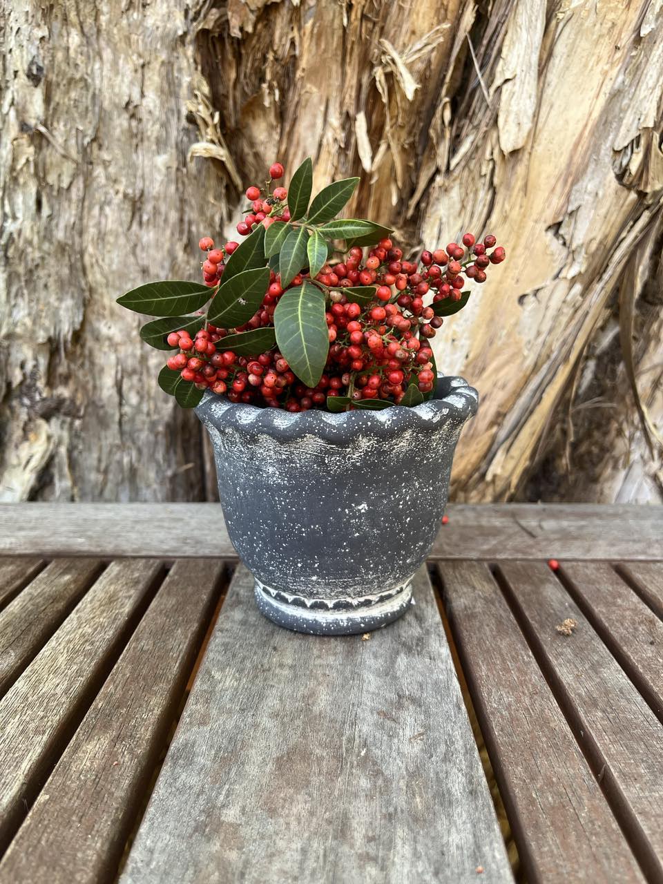 Roman Mini Pot — Nursery 2 U